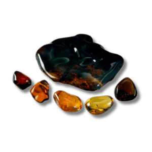 Types of Amber: Baltic Amber vs. Other Varieties Explained - Amber Crafters